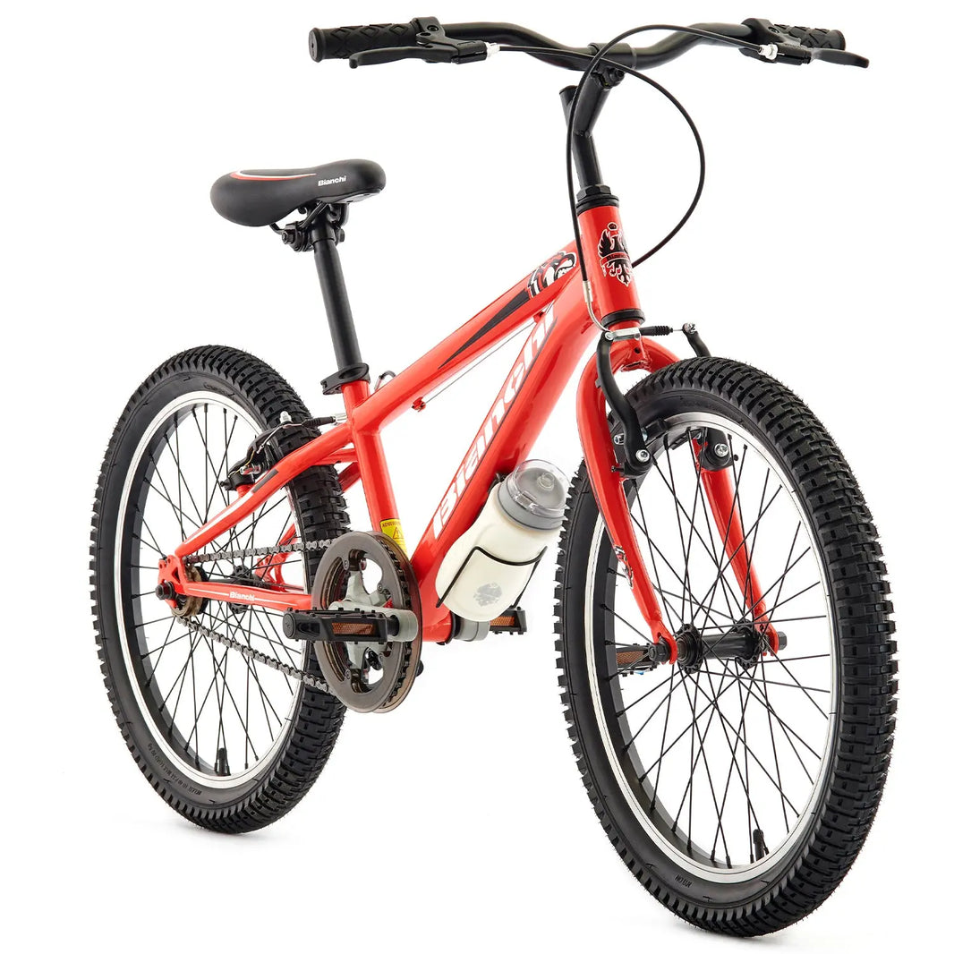 Aro 20 – Bianchi Store